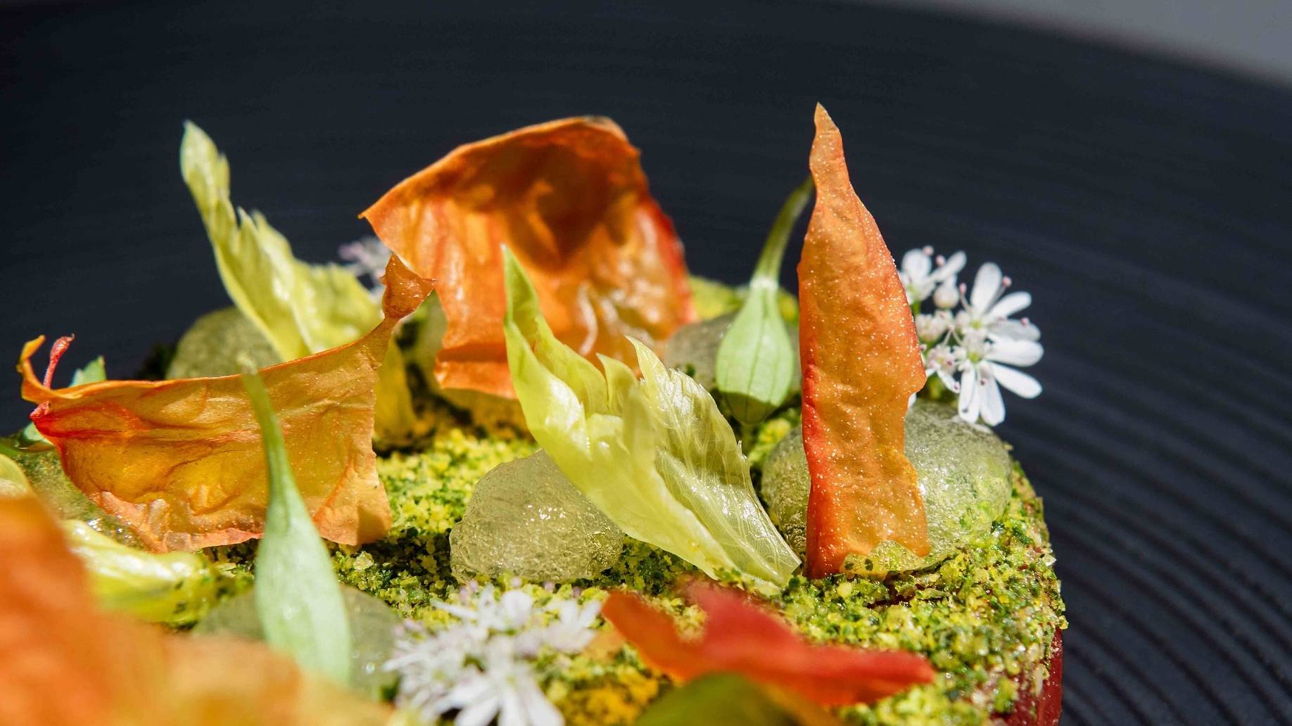 Plant-based cooking course - Cooking class in Paris | Ecole Ritz Escoffier